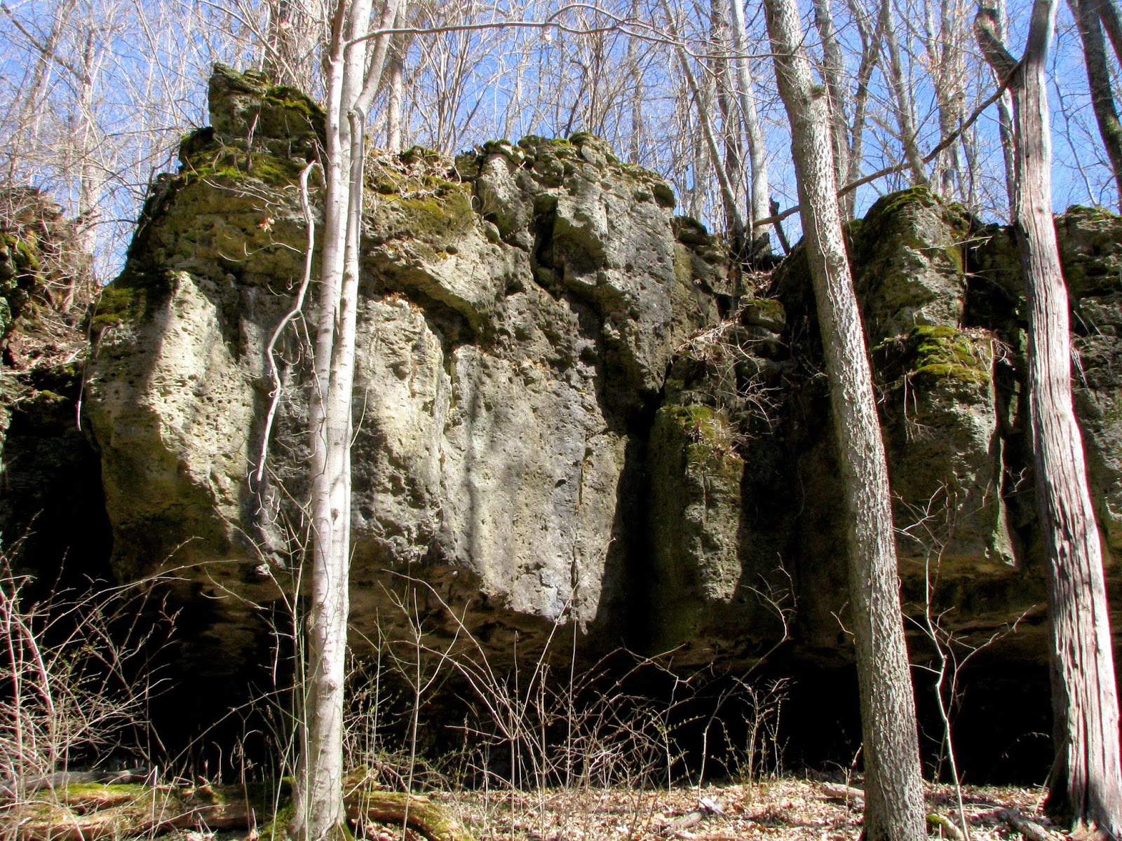Ex Vere Sacro: Snow Trillium in Ohio