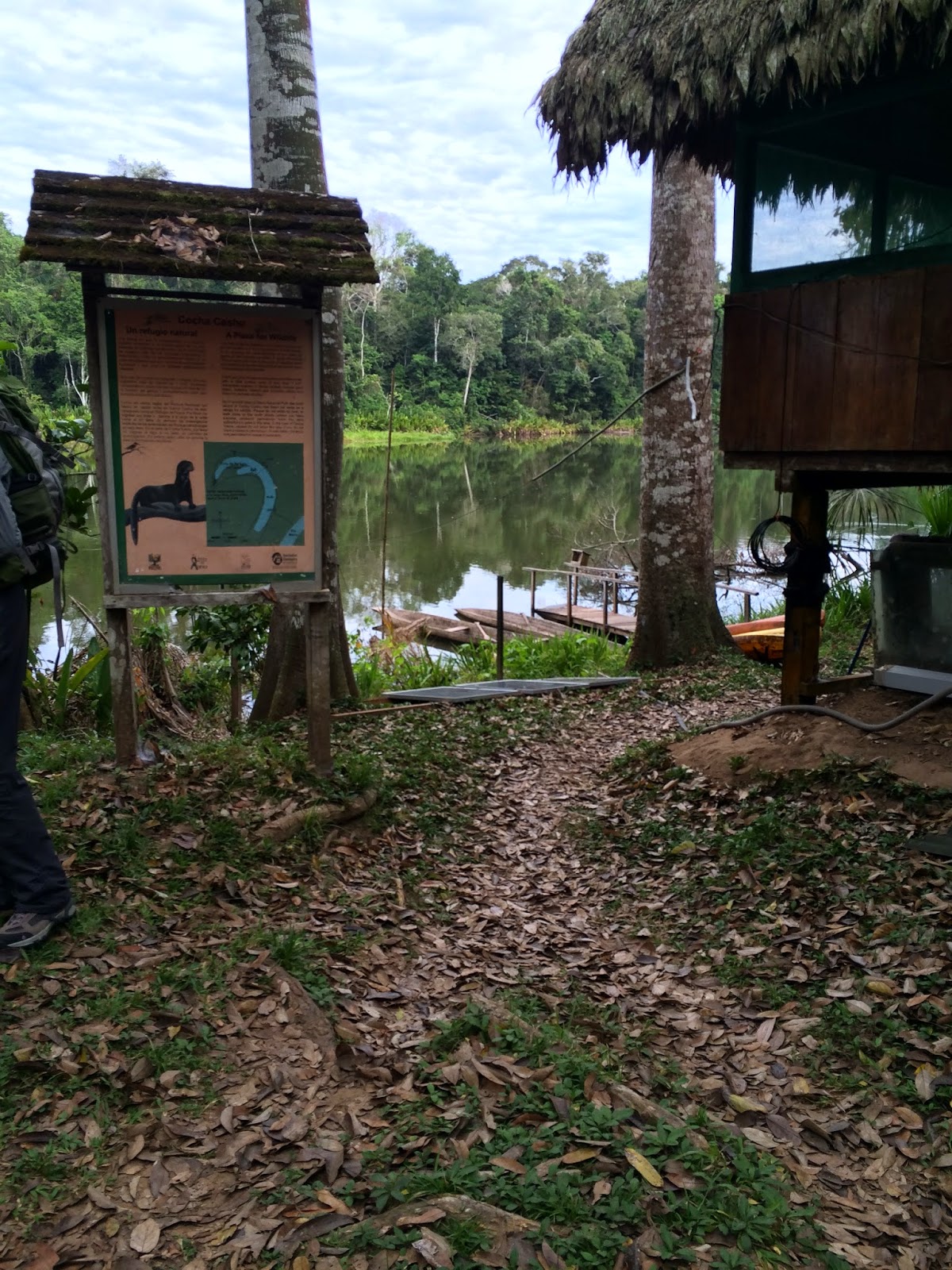 Exploring Biodiversity in the Andes and Amazon Peru: On to Cocha Cashu ...