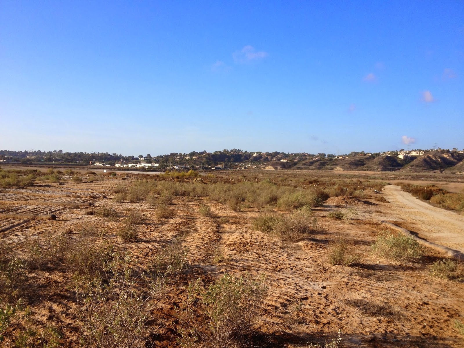 Caleb's Geography Blog: Dust Devil Nature Trail - San Diego, California