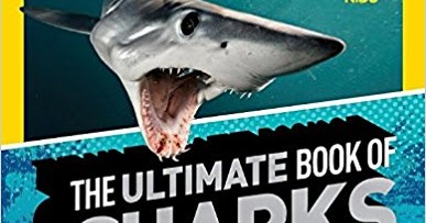 The O.W.L.: Nonfiction Review: The Ultimate Book of Sharks by Brian Skerry