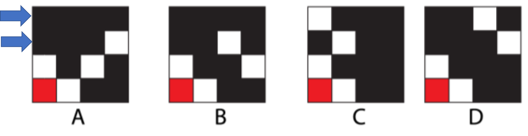 CEED 2021 Part A answers with detailed solutions | Stuff You Look