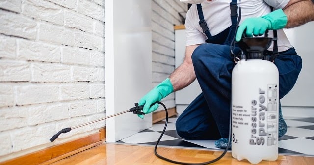 Bootstrap Business: Why Your Business Needs To Be Pest-Free