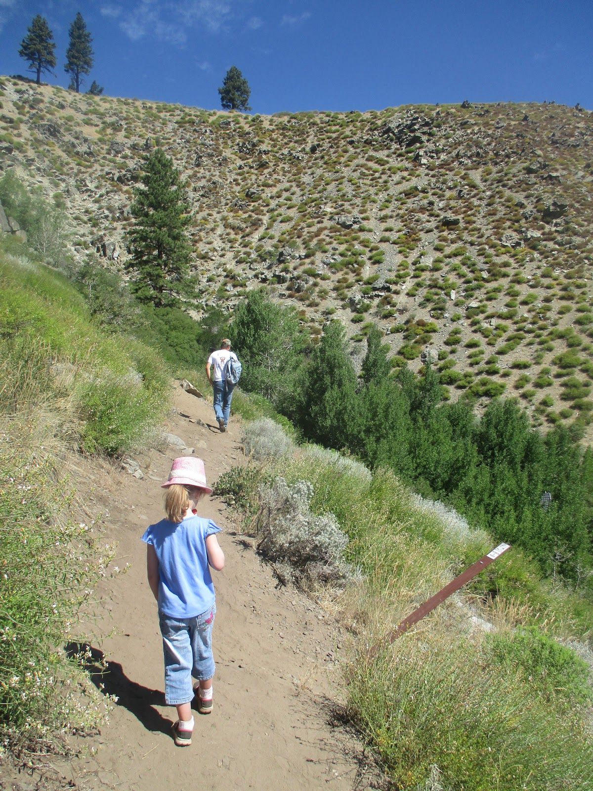 Kings Canyon Waterfall Trail - Carson City - Carson City Family