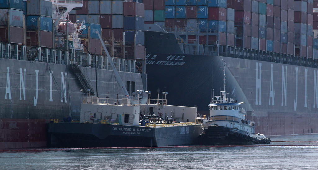 Katfish Kapers: MS Veendam - How a ship works