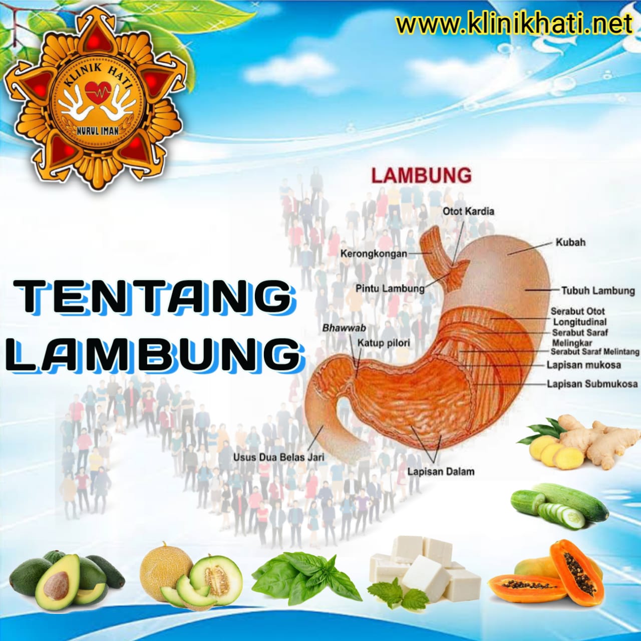 Tentang Lambung Dan Fungsinya