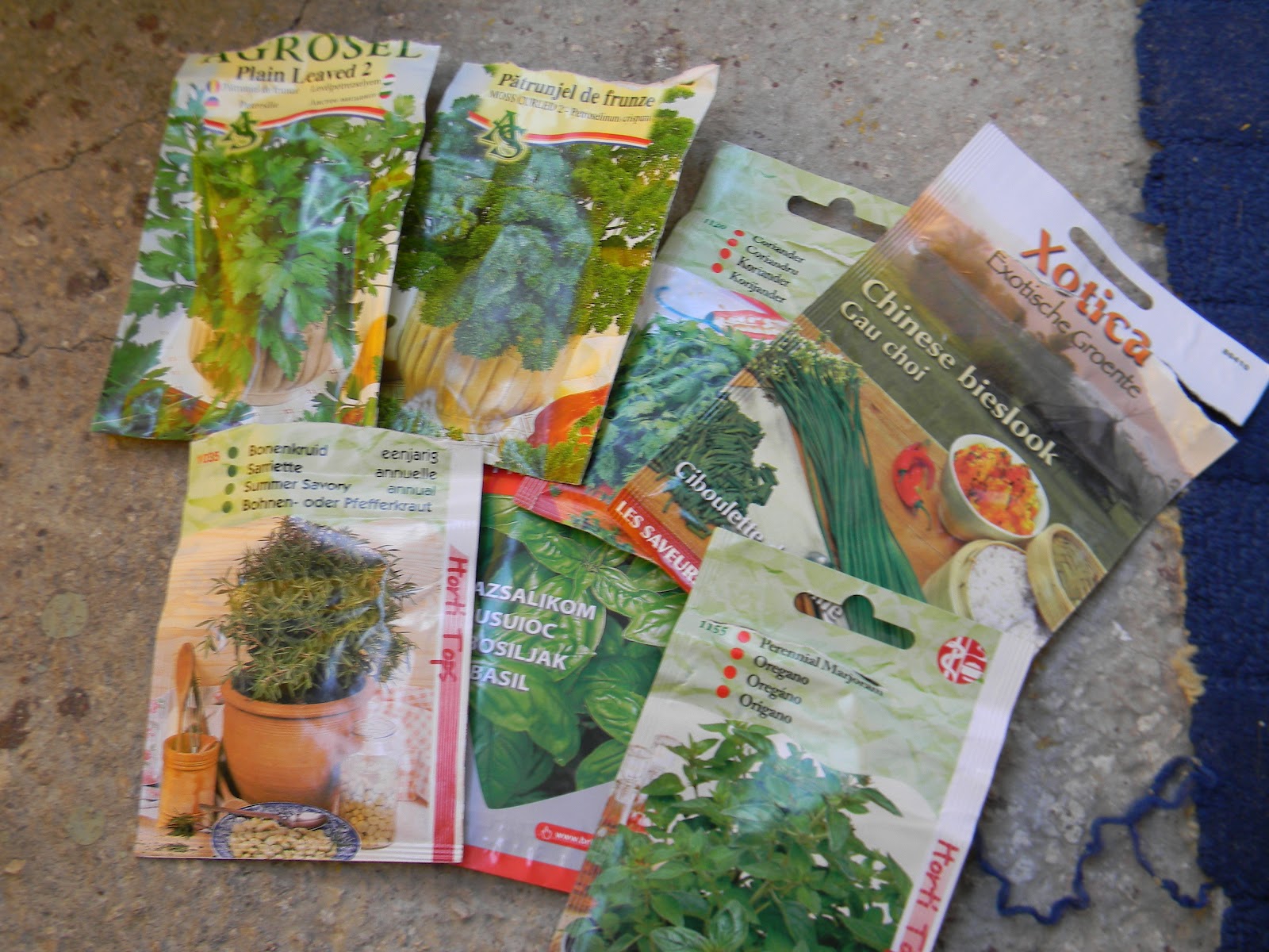 Gradina de pe balcon: Verdeturi in 3 straturi