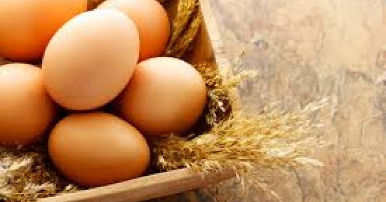 Bagaimana Cara Membedakan Telur Matang dan Telur Mentah? | Belajar ...