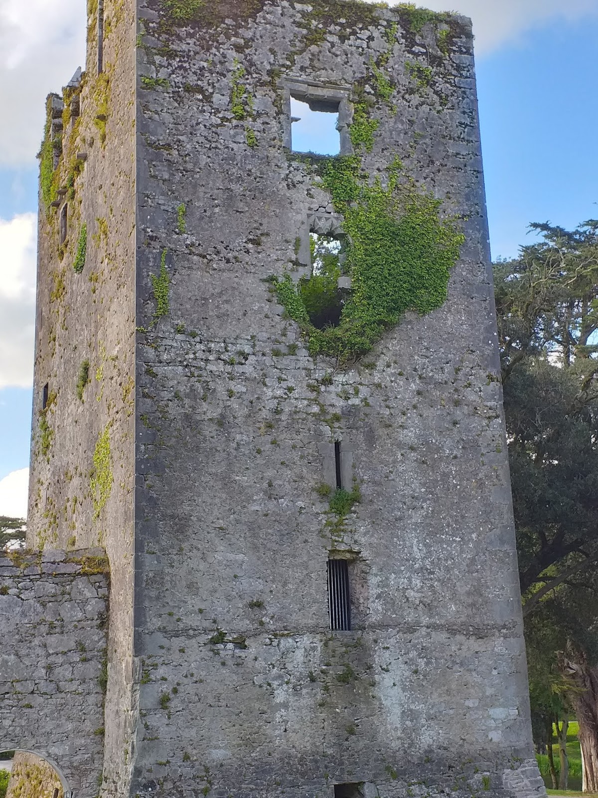 Medieval News: Castlemartyr tower house and 17th residence