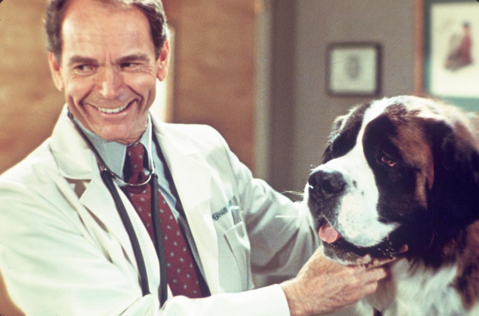 The Chicago Teddy Bears [1971– ] - mediagetblock