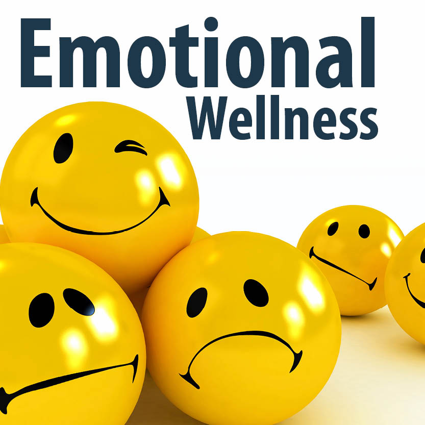Create Your Best !: Series on Emotional Wellness - Know The Basics