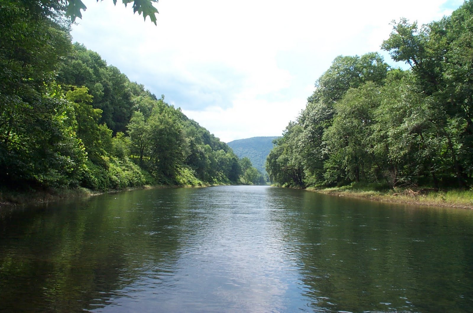 The Fields of the Wood: Central Pennsylvania Travelogue: Jerry Ridge