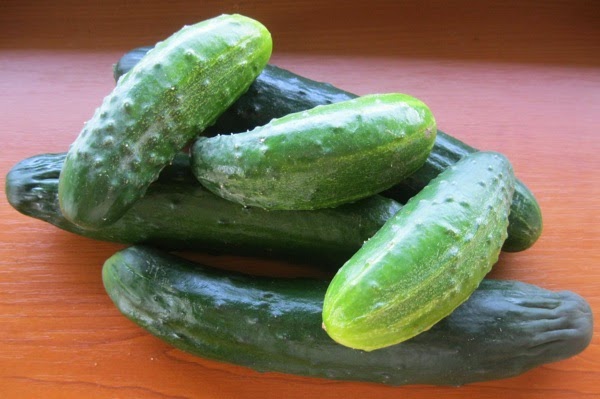 Krastavac - njegova ljekovita svojstva