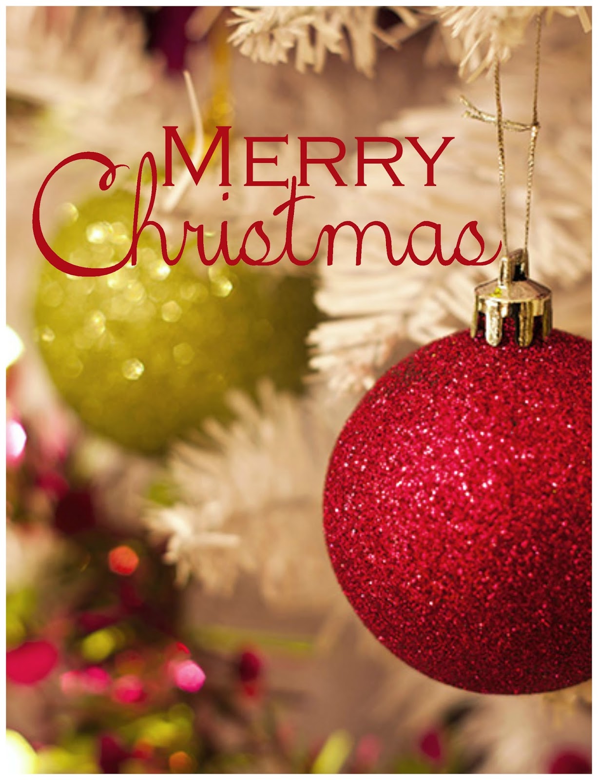 Merry Christmas! - Adventures of a DIY Mom