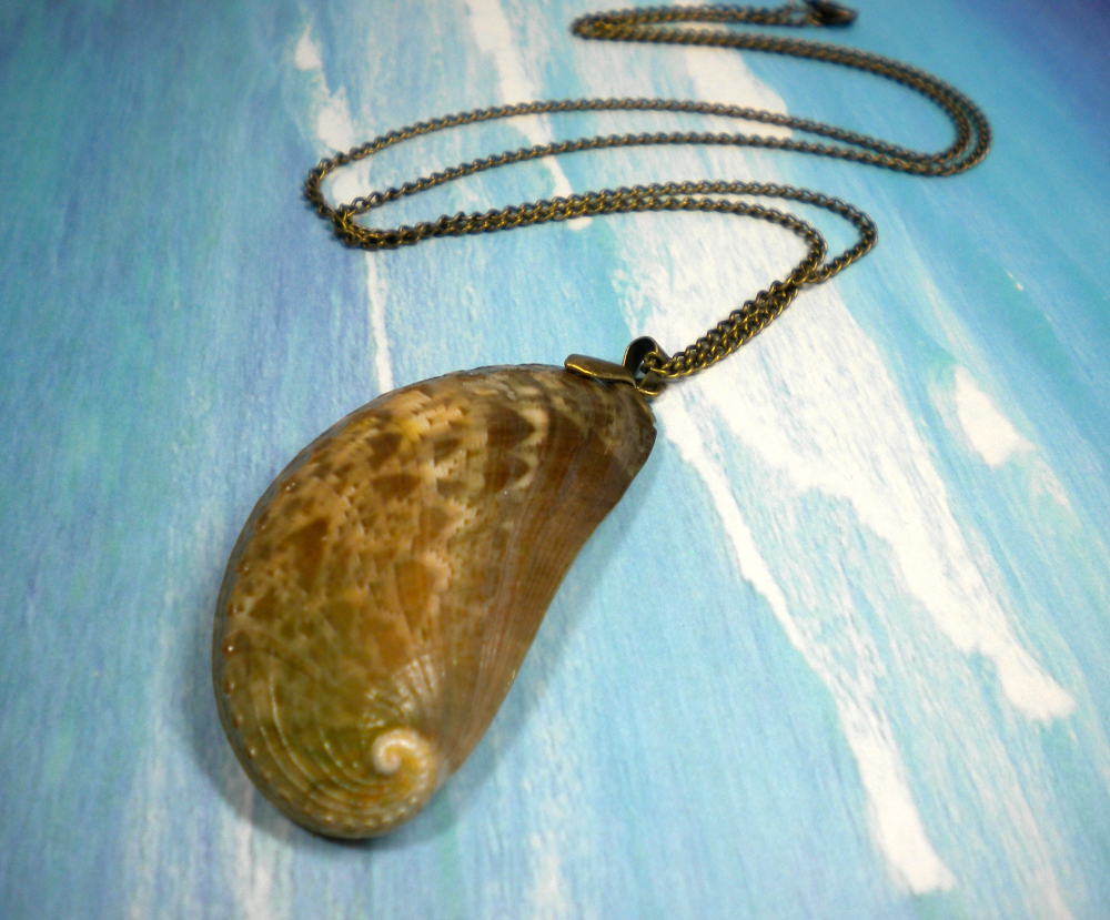 Del's Shells: Seashells on Chains