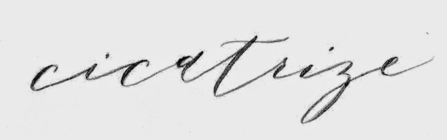 Ace & Whim: Cicatrize