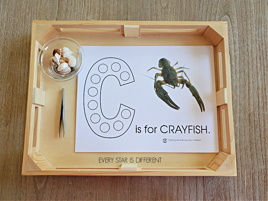 Montessori-inspired Crustaceans Activities for Preschoolers with FREE ...