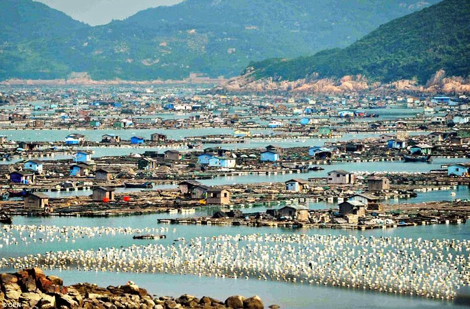 The Aquaculturists: 30/09/2014: Images of China's floating cities and ...