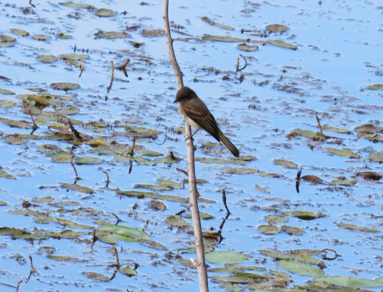 Gone Hikin': Fahnestock State Park, NY - Canopus Lake