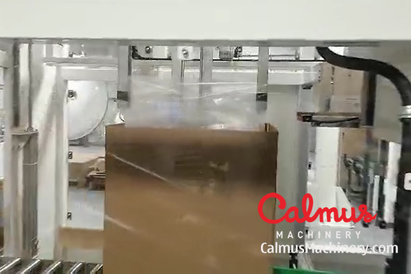 Bag in Box Forming Filling and Sealing Line for Packaging Nuts or ...