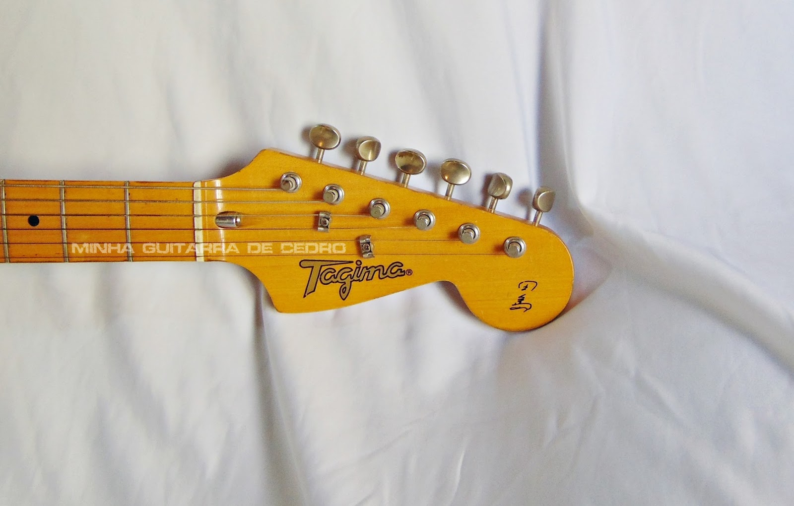 Minha Guitarra de Cedro: o museu digital da guitarra brasileira: Minha ...