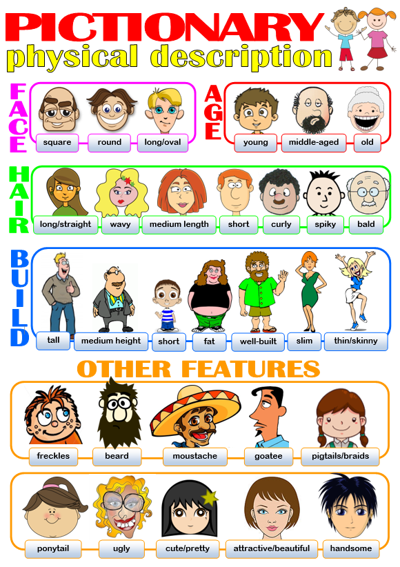Our English Corner: PHYSICAL DESCRIPTION