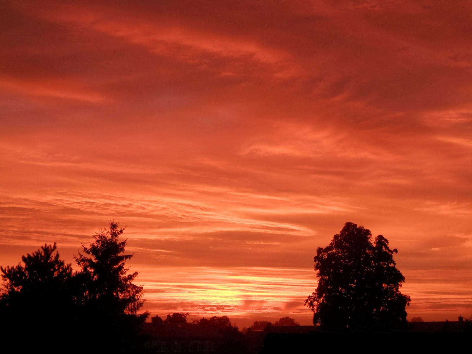 Wat deelt Lisa?: Prachtige foto's van de lucht