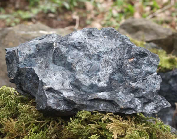 About Health: Manganese