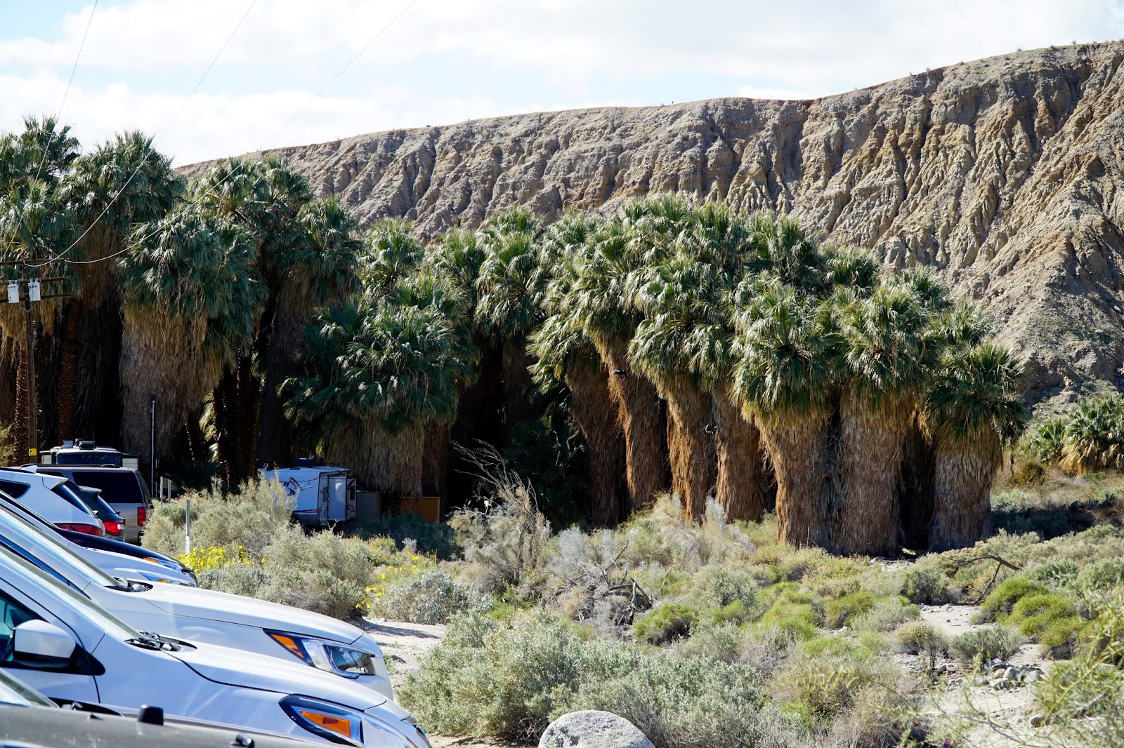 Coachella Valley Preserve - Thousand Palms Oasis Preserve