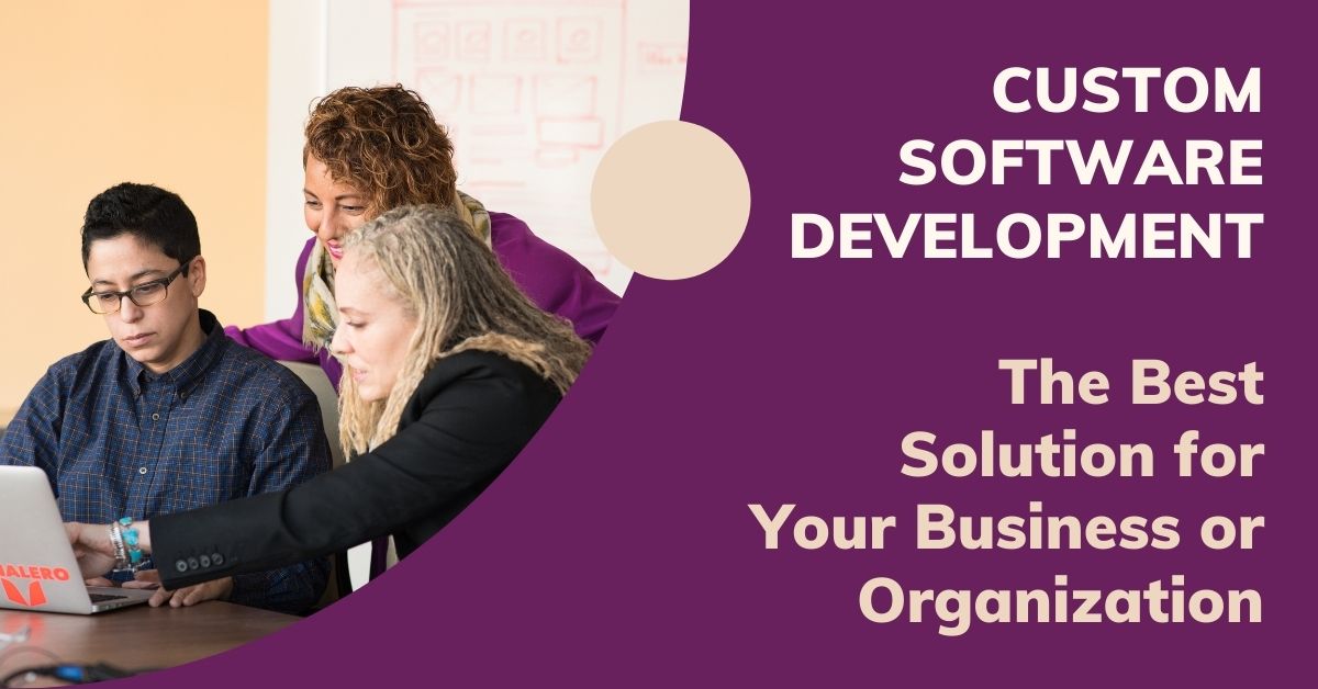 Custom Software Development Services - The Best Solution for Your ...