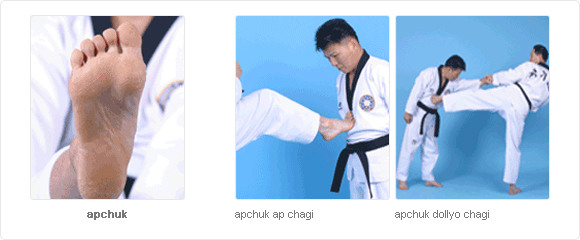 Apchagi, front kick, dalam poomsae dan poin-poin pelatihan serta ...