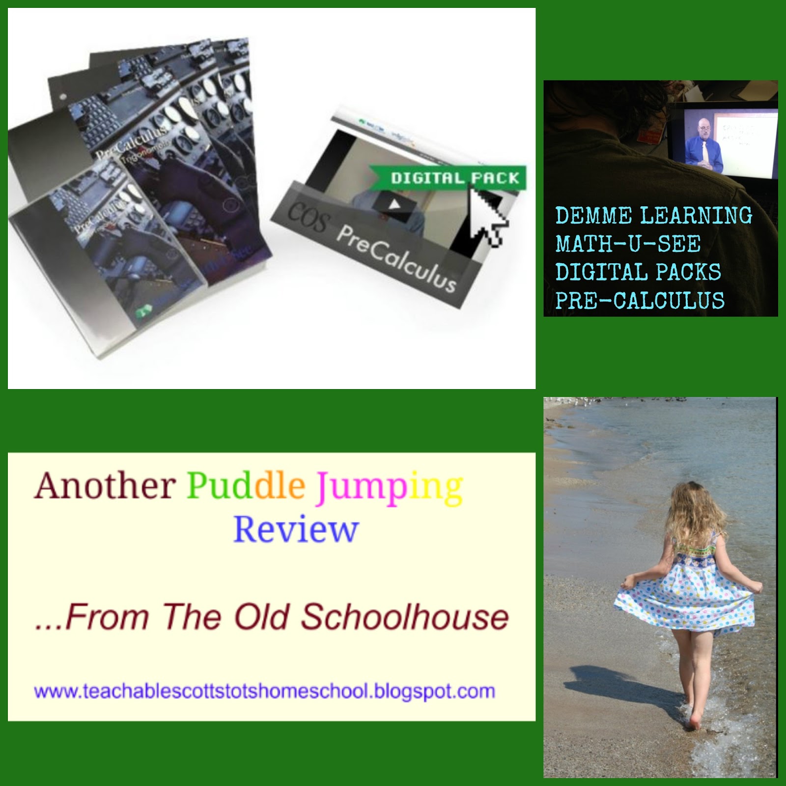 Puddle Jumping: TOS Review - Demme Learning's Math-U-See PreCalculus ...