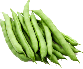 Buncis dapat juga dijadikan obat untuk mengatasi diabetes melitus ...