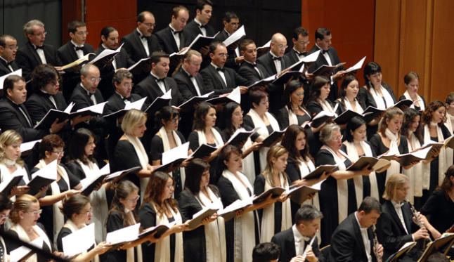 ALFASONORA: LAS VOCES