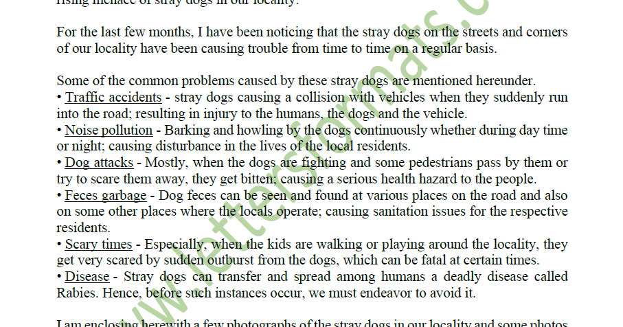 Letter to Municipal Commissioner complaining about Stray Dogs