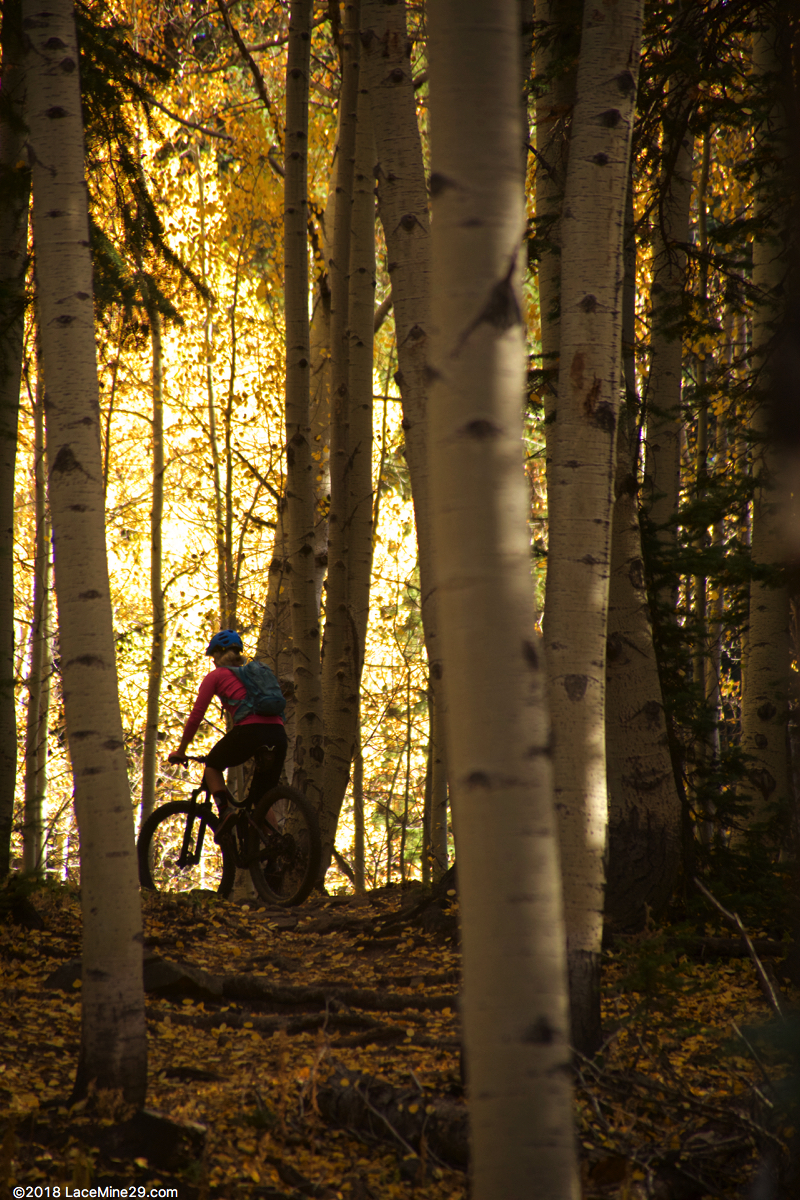 The vortex. | Mountain Bike Reviews Forum