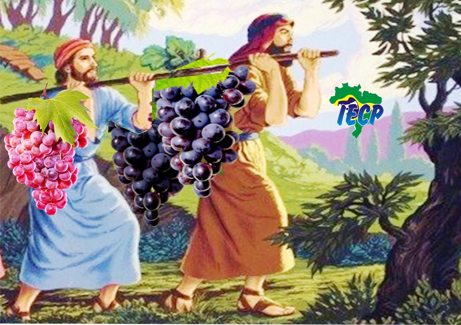 CRISTÃ PRESBITERIANA: Joshua Caleb Grape Bunch Numbers 13 יהושע וכלב ...