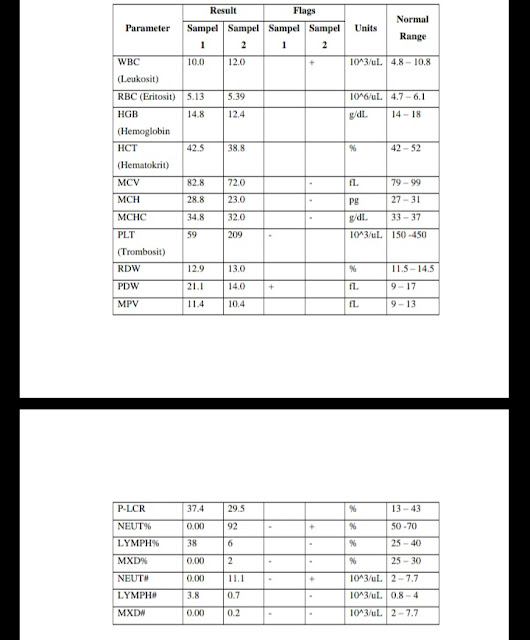 Hematologi: Laporan Pemeriksaan Darah Rutin