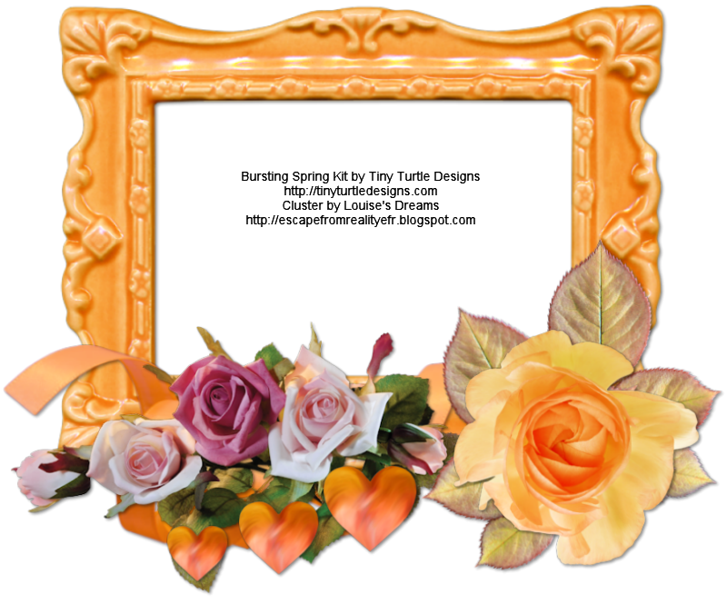 Escape From Reality Blog: FTU 'Bursting Spring' Cluster Frames TTD