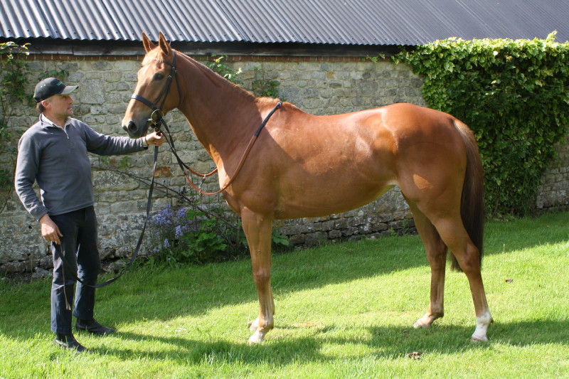 Simon Earle Racing: June 2013