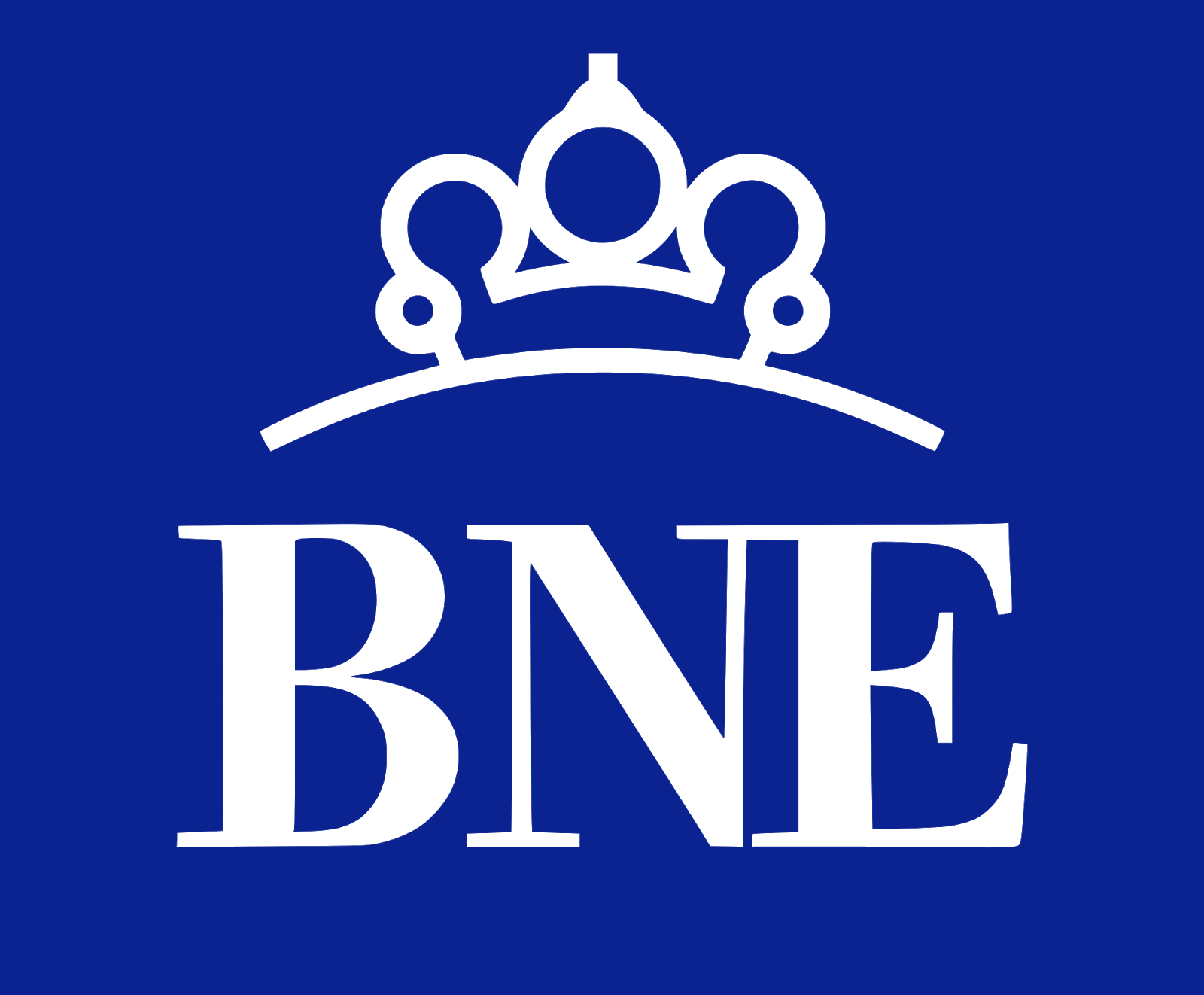 Pequeño desvío:LA BNE