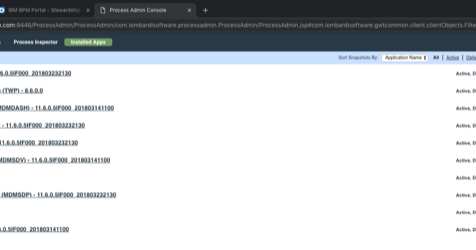 A Portal to a Portal: IBM Master Data Management and IBM BPM - Process ...