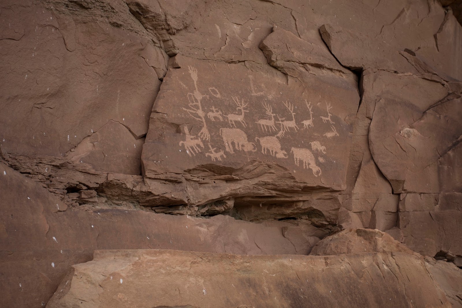 UTAH PETROGLYPHS - ADAM HAYDOCK