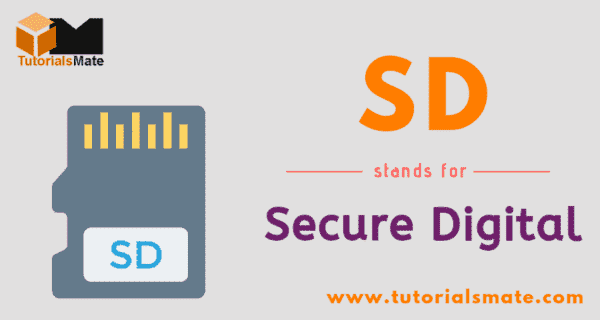 SD Full Form: What is SD chip or memory? - TutorialsMate
