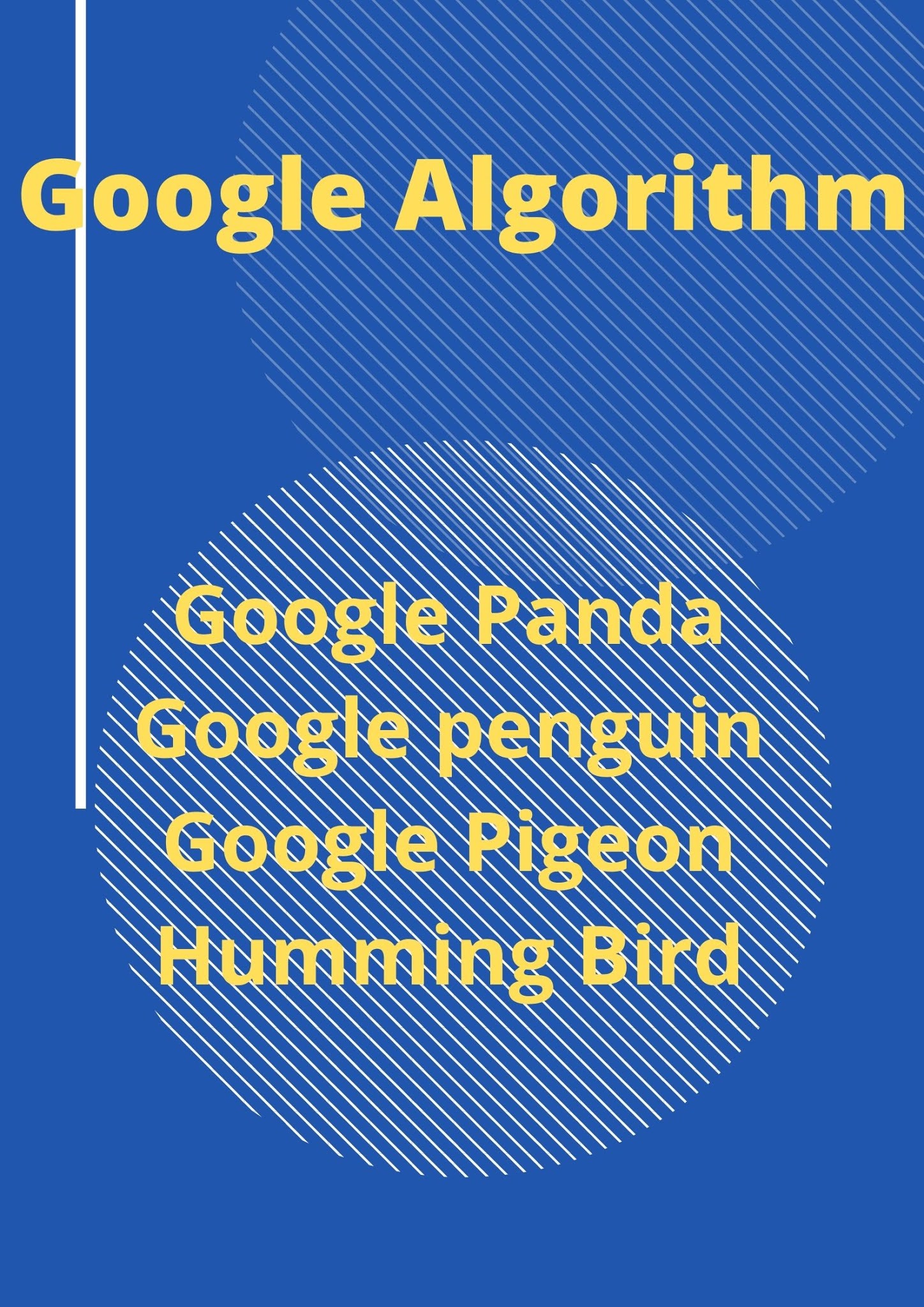 Digital Diary: What are Google Algorithms??