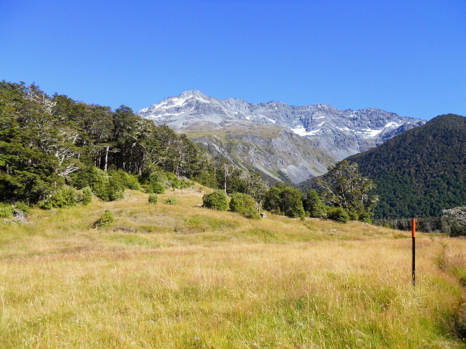Tramping in the New Zealand backcountry: NZ Bush Adventures: Track ...