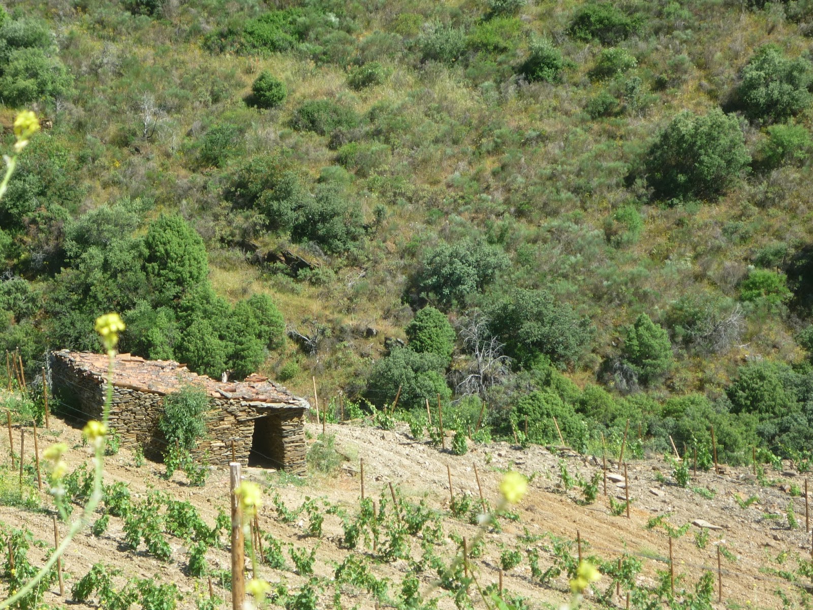 Kalandozásaim Portugáliában: Hétvége a Douro folyó mentén
