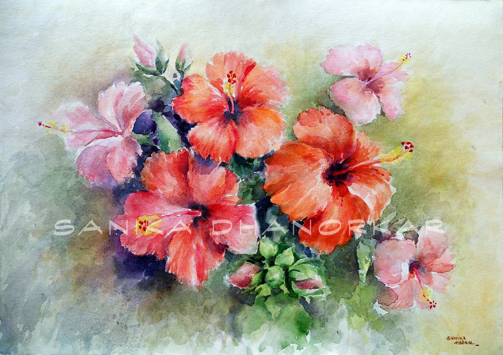 Hibiscus Watercolor Paintings