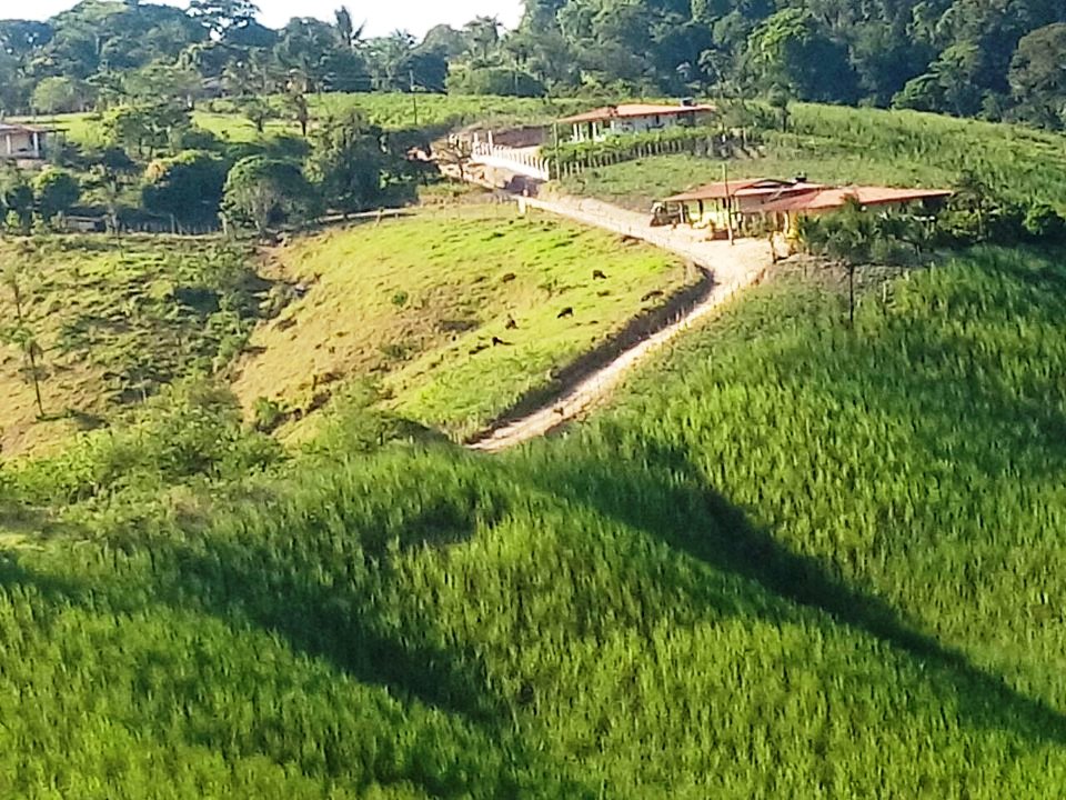 VIAGEM, TURISMO E AVENTURAS POR LUGARES INCRÍVEIS : BOCA DA MATA ...