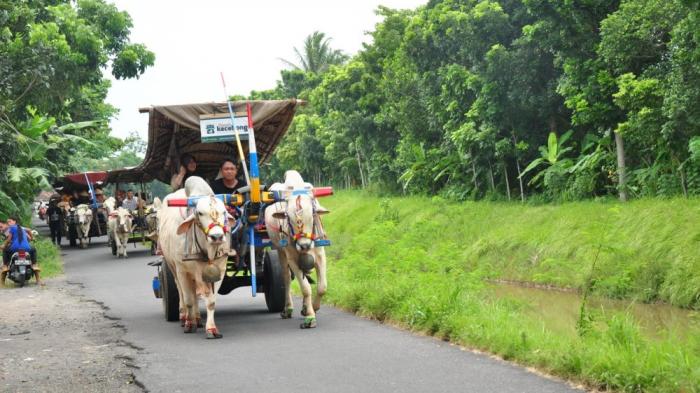 Priority Auto Zone: Cikar dalam sejarah dan Kenangan Kasa Kecil