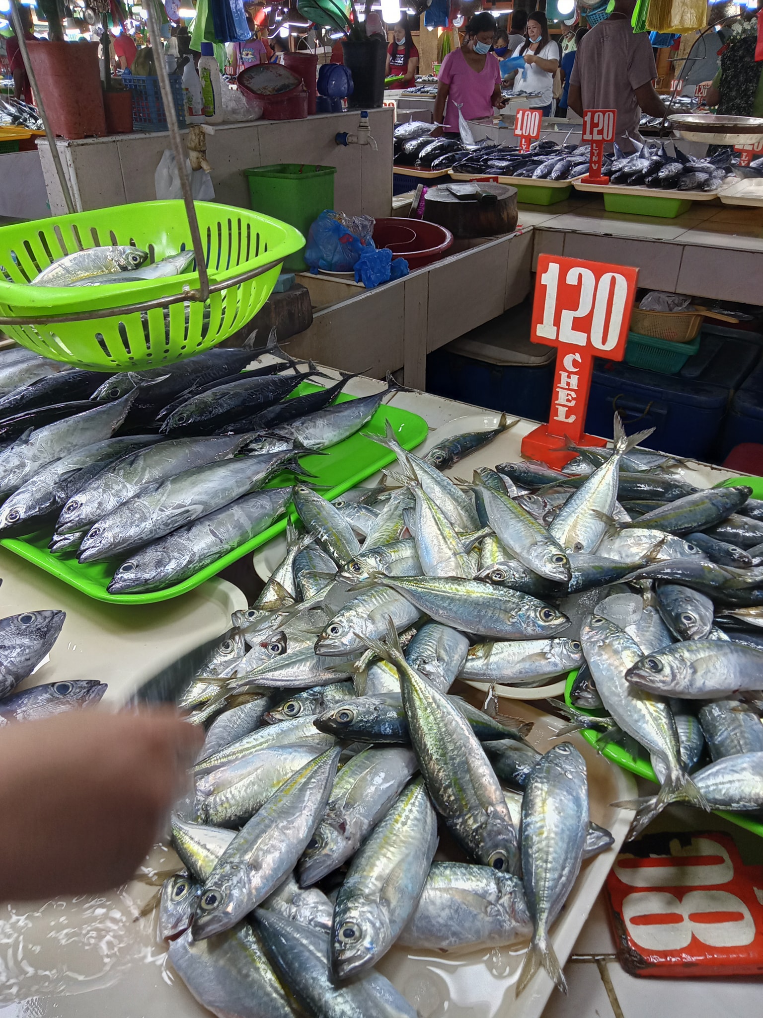 Murang presyo ng mga isda sa isang palengke sa Negros Oriental, tinatanggihang bilhin ng ilang ...